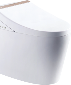 SanitaryWare – BAFIT